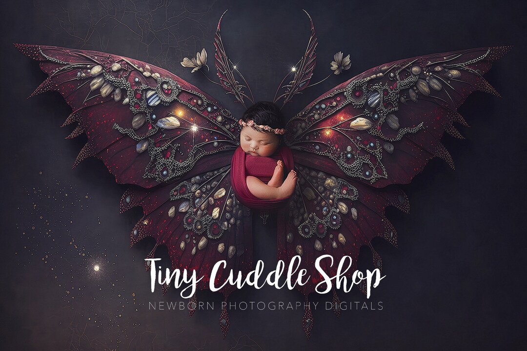 Newborn Digital Backdrop, Butterfly Backdrop Overlays, Digital Backdrop ...