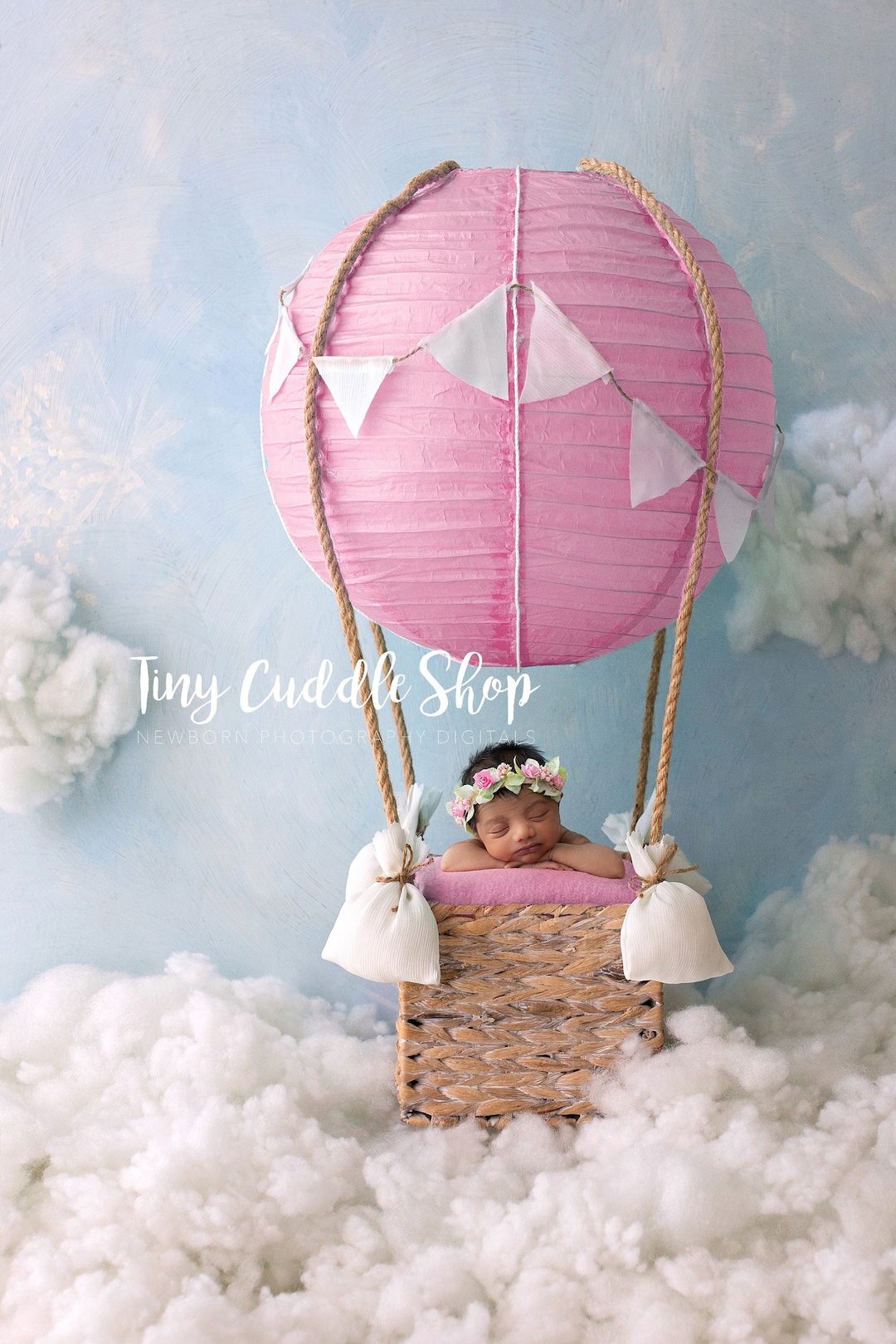 Hot Air Balloon Newborn Digital Background, Newborn Digital Backdrop ...