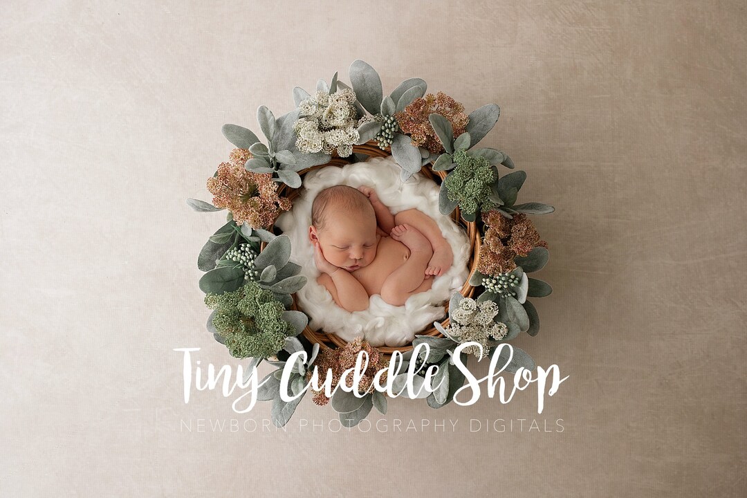 Newborn Digital Background, Newborn Digital Backdrop, Autumn, Sage ...