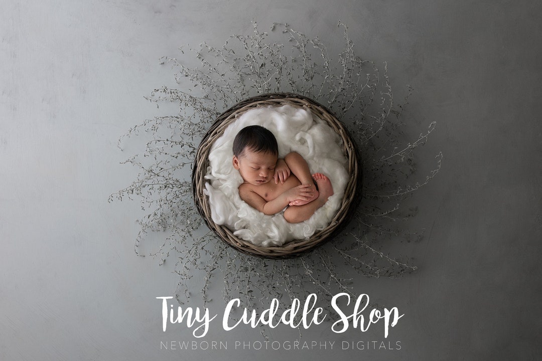 Newborn Digital Background, Newborn Digital Backdrop, Newborn ...