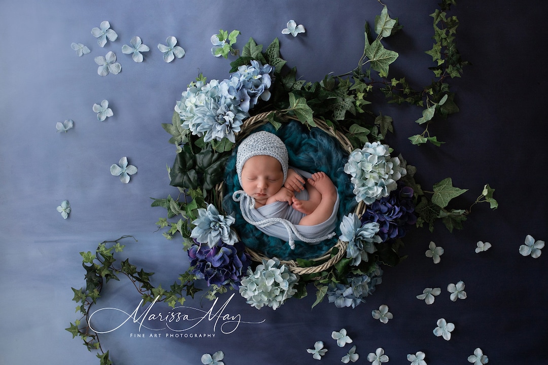 Newborn Digital Background, Newborn Digital Backdrop, Newborn ...