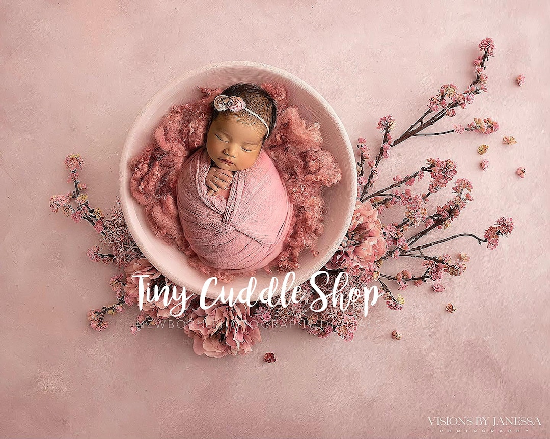 Newborn Digital Background, Newborn Digital Backdrop, Newborn ...