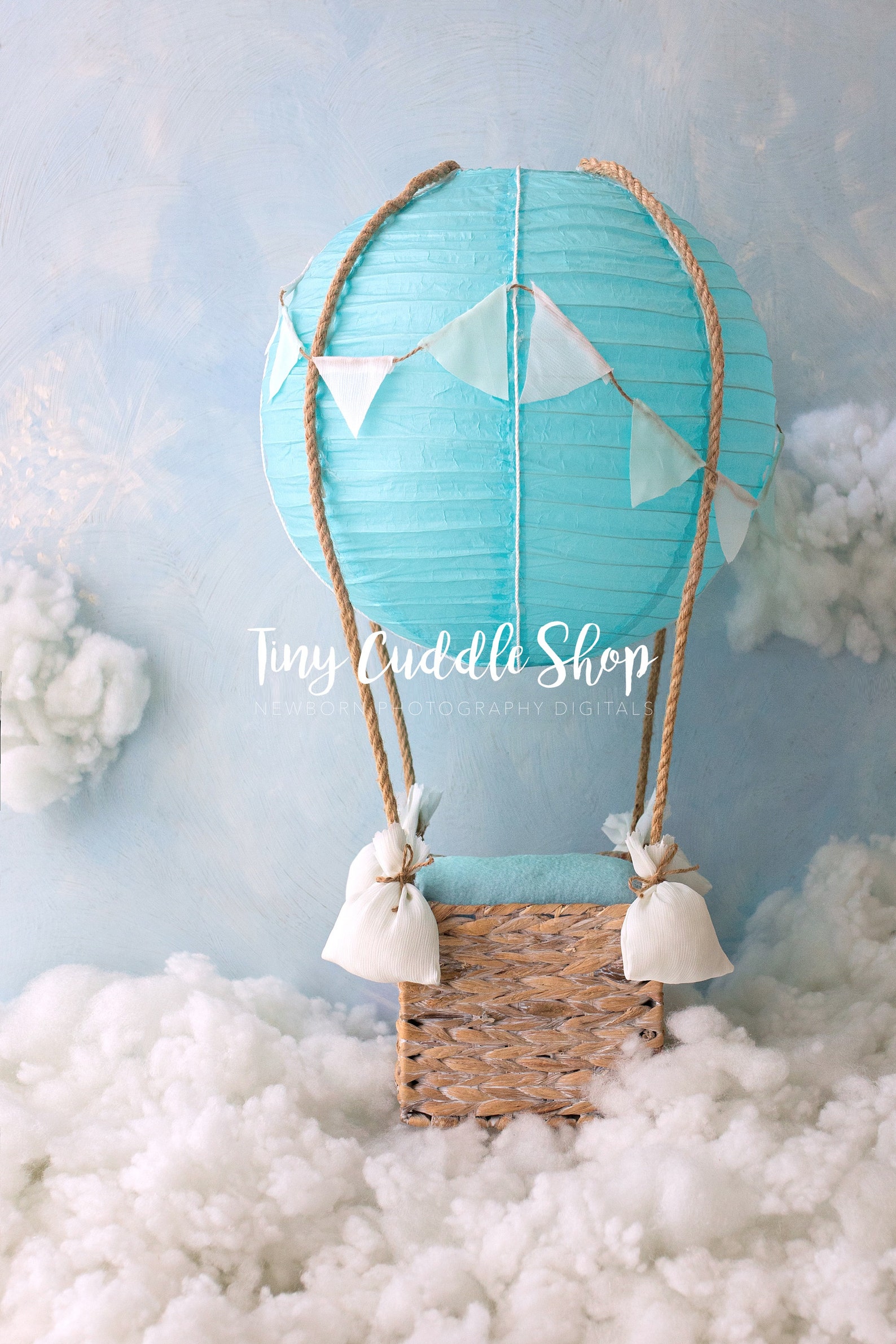 Hot Air Balloon Newborn Digital Background, Newborn Digital Backdrop ...