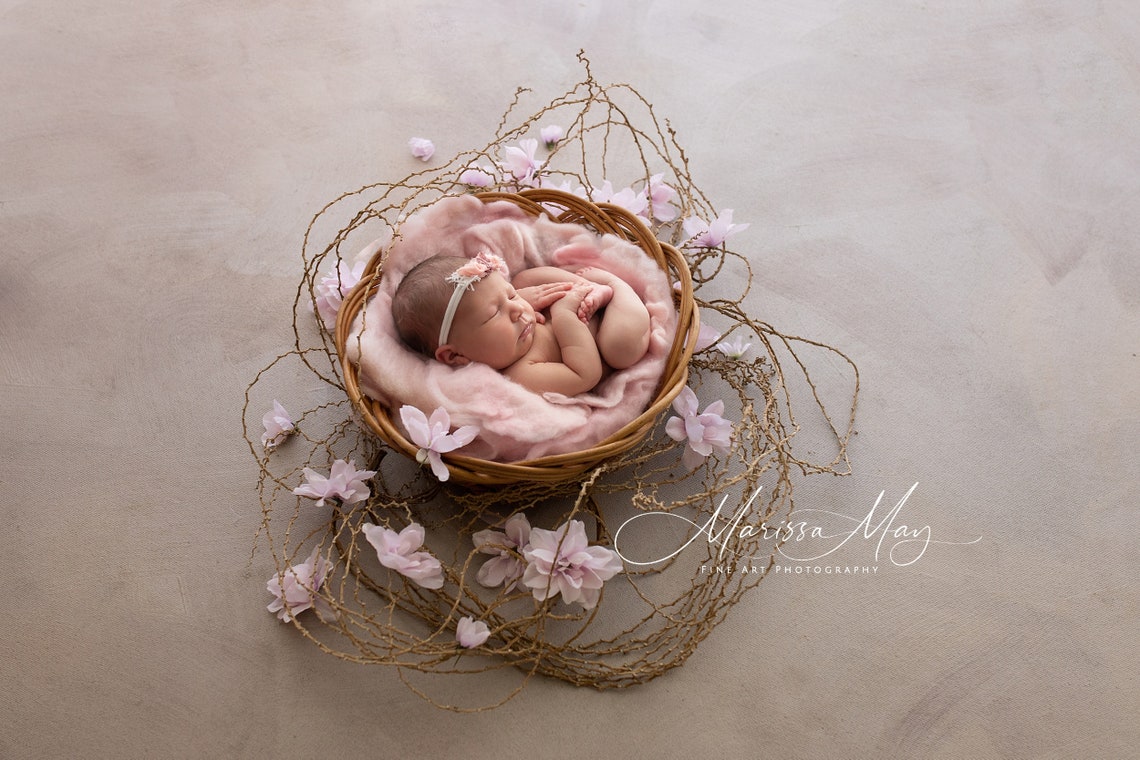 Newborn Digital Background Newborn Digital Backdrop Newborn - Etsy