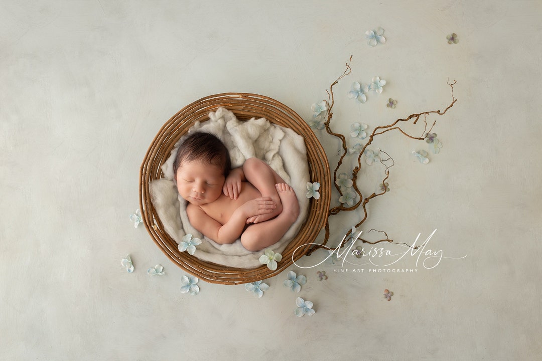 Newborn Digital Background, Newborn Digital Backdrop, Newborn ...