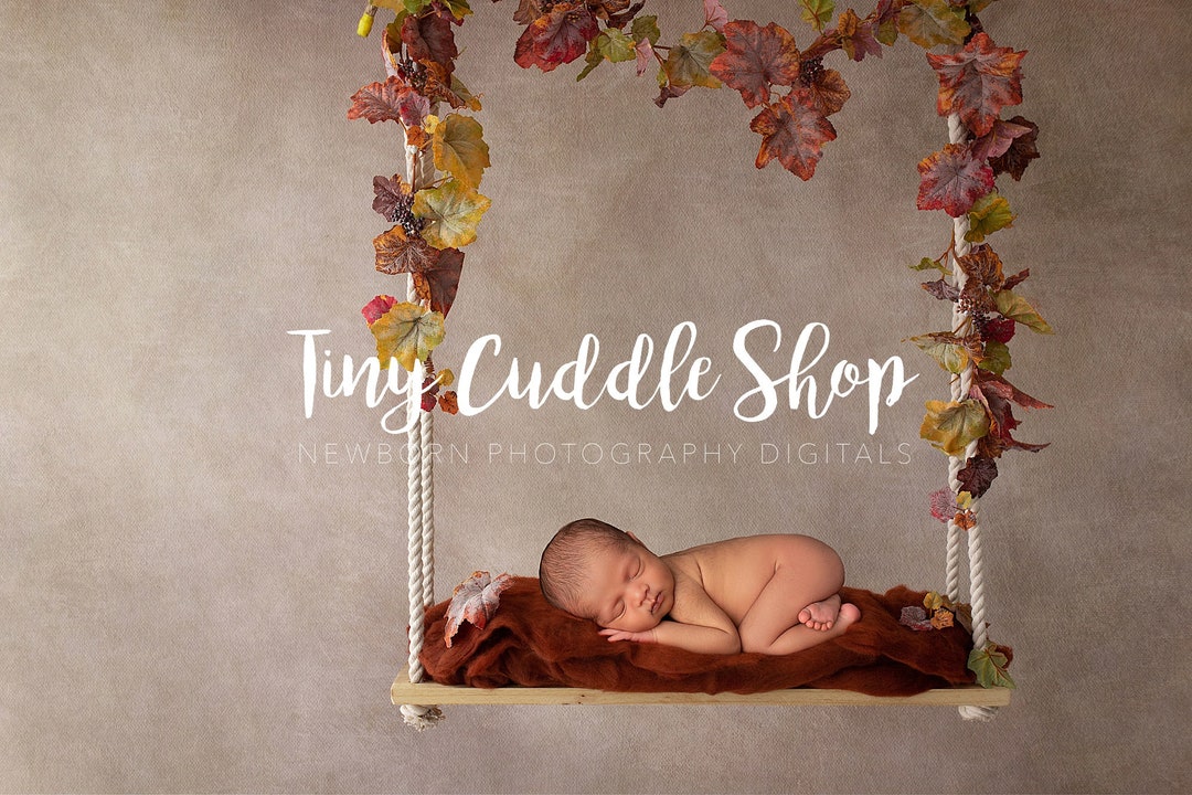 Newborn Digital Swing Background, Newborn Digital Backdrop, Newborn ...