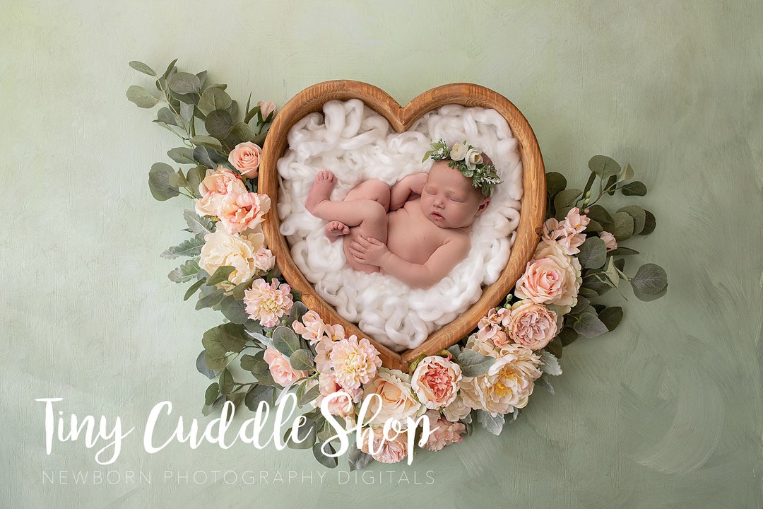 Newborn Digital Background, Newborn Digital Backdrop, Light Sage and ...
