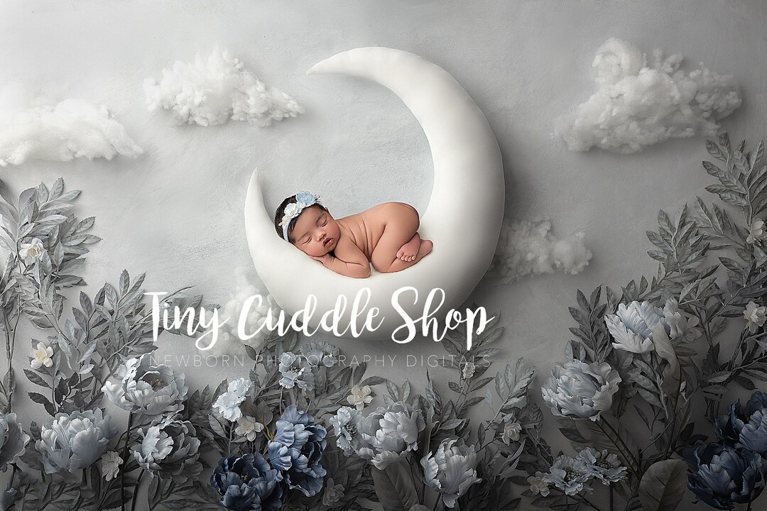 Newborn Digital Background, Newborn Digital Backdrop, Newborn ...