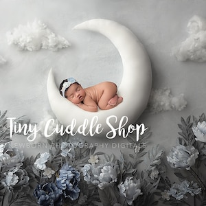 Newborn Digital Background, Newborn Digital Backdrop, Newborn ...