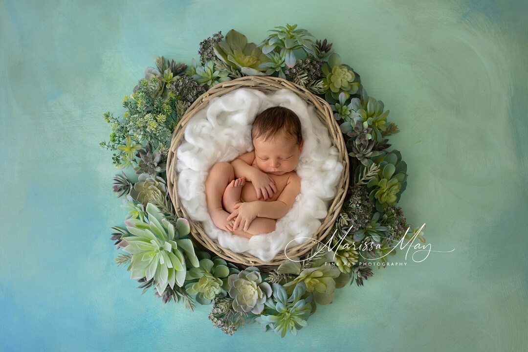 Newborn Digital Background, Newborn Digital Backdrop, Newborn ...