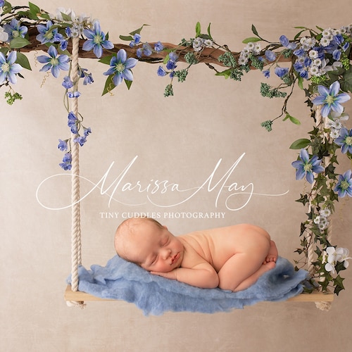 Newborn Digital Backdrop Hanging Swing With Butterflies - Etsy