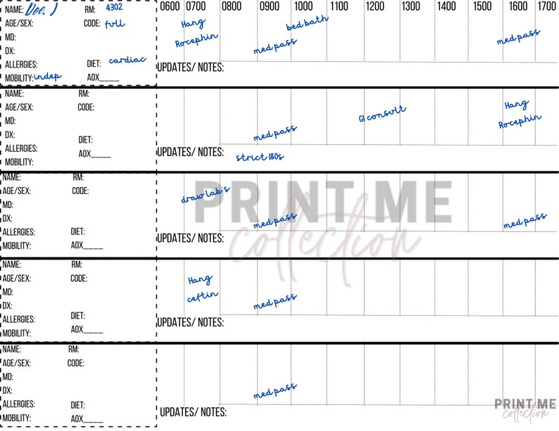 5 Patient Nurse Report Brain Sheet Modeled After EPIC Charting - Etsy