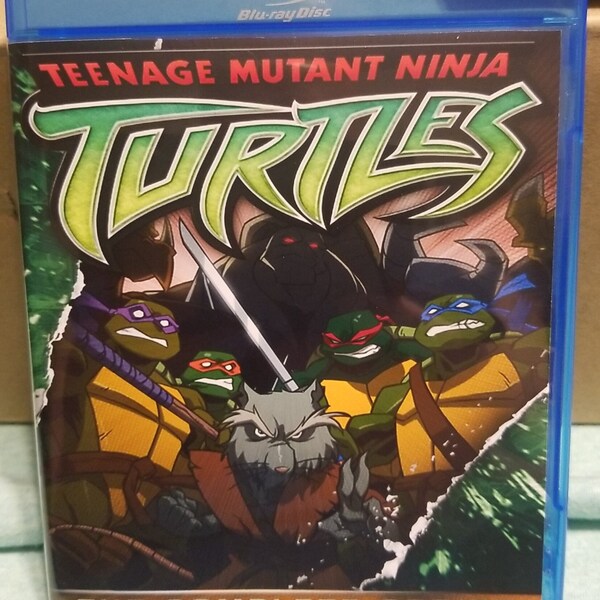 Dvd Tmnt 2003 - Etsy