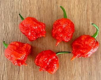 Bleeding Borg 9 Pepper Premium Seed Packet - Etsy