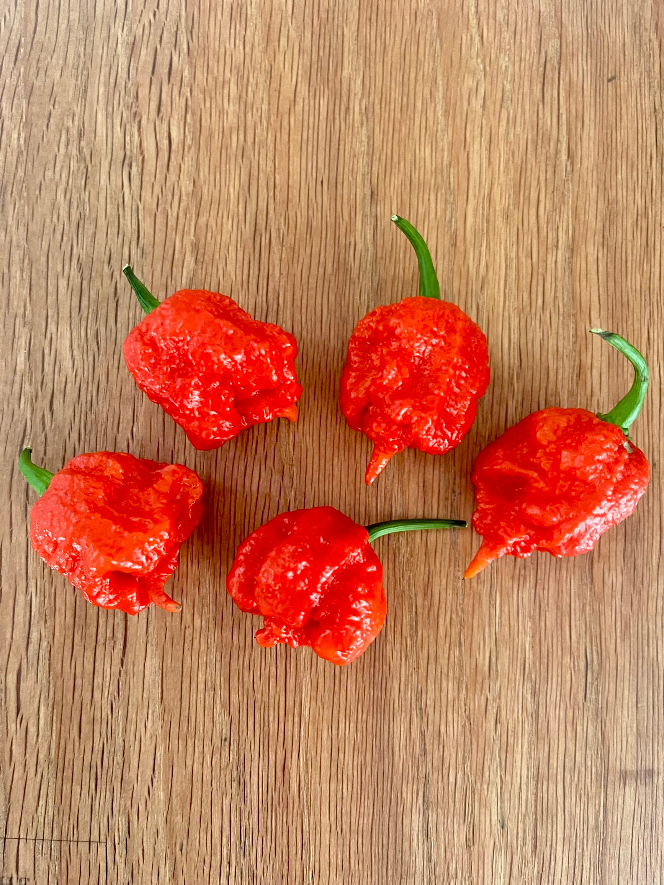 Carolina Reaper Seeds - Etsy