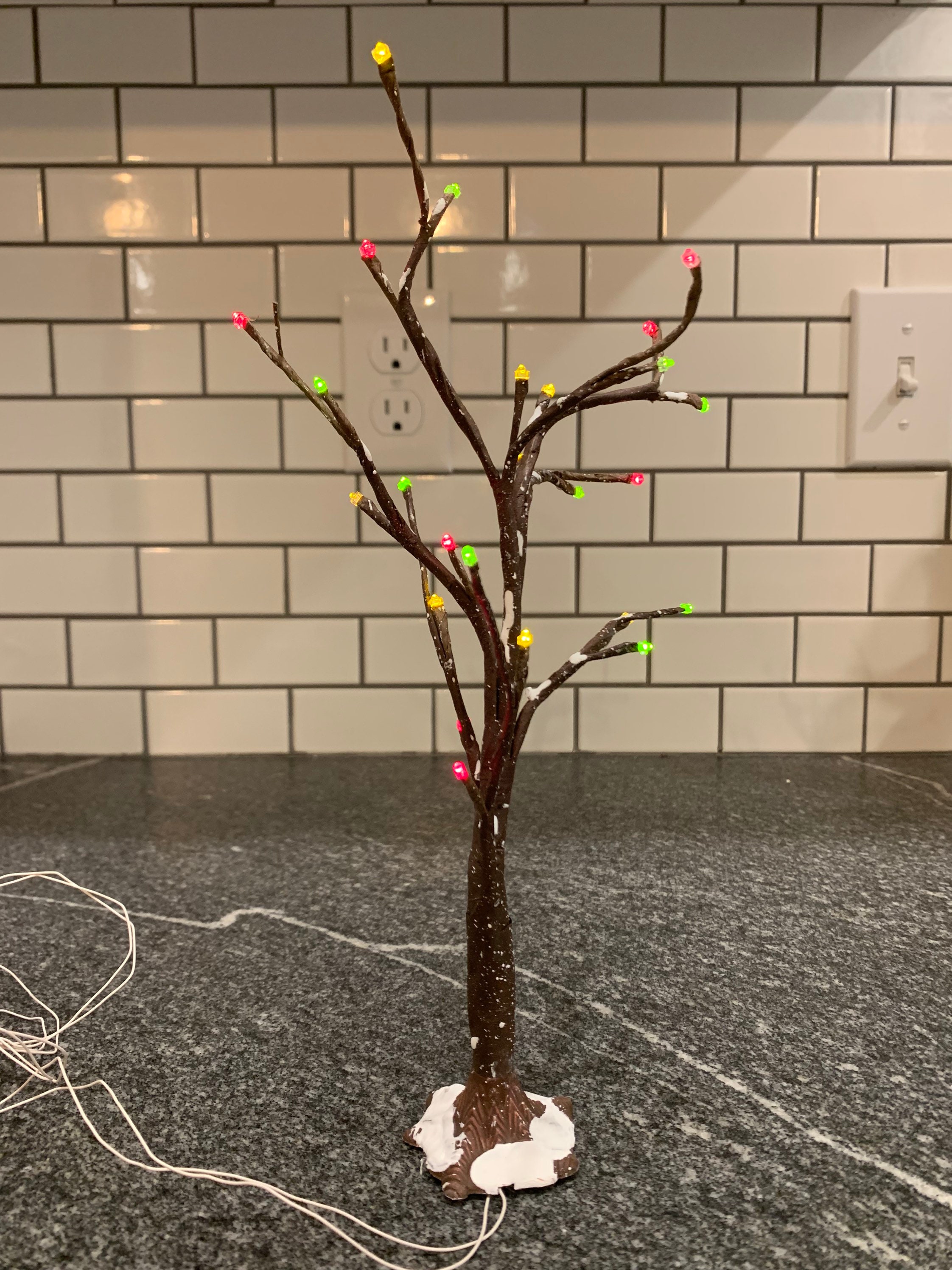 Lit Bare Branch Trees