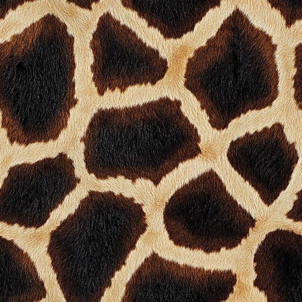 Giraffe Print - Etsy