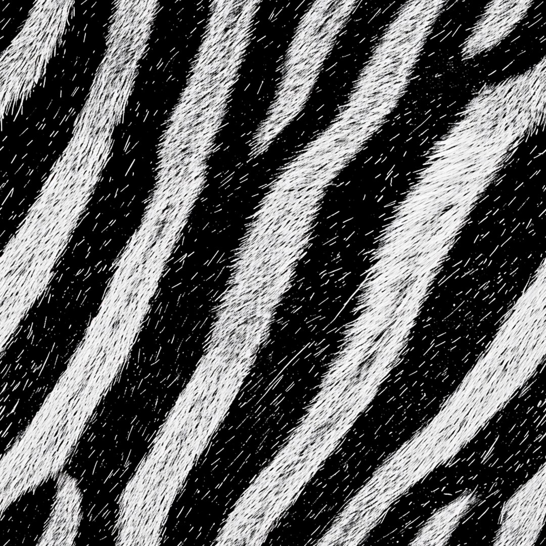 Zebra Print Seamless Pattern, Black and White Zebra Print, Wallpaper ...