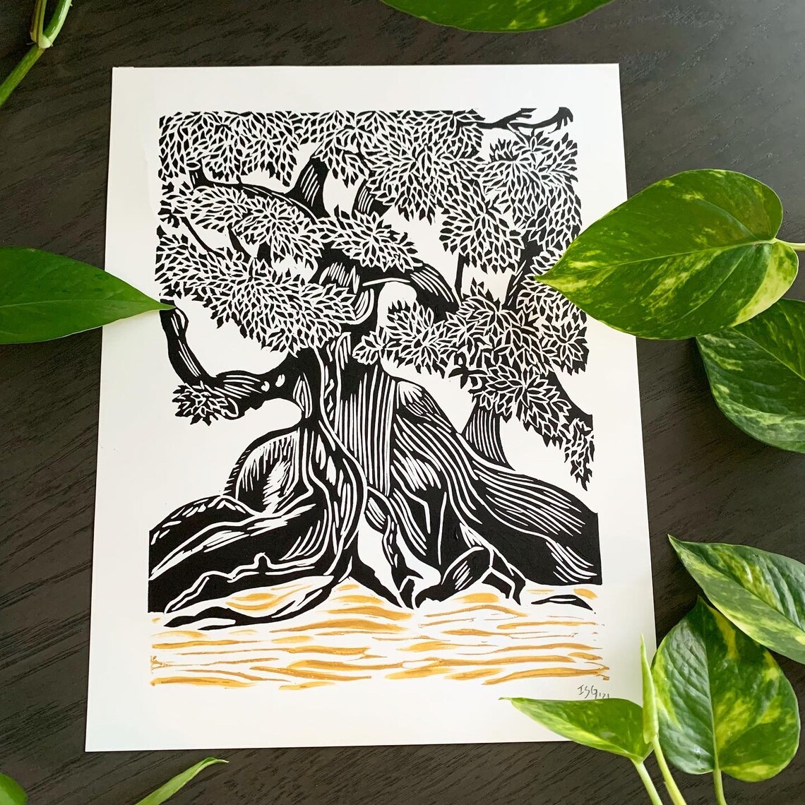 Ceiba Tree - Etsy