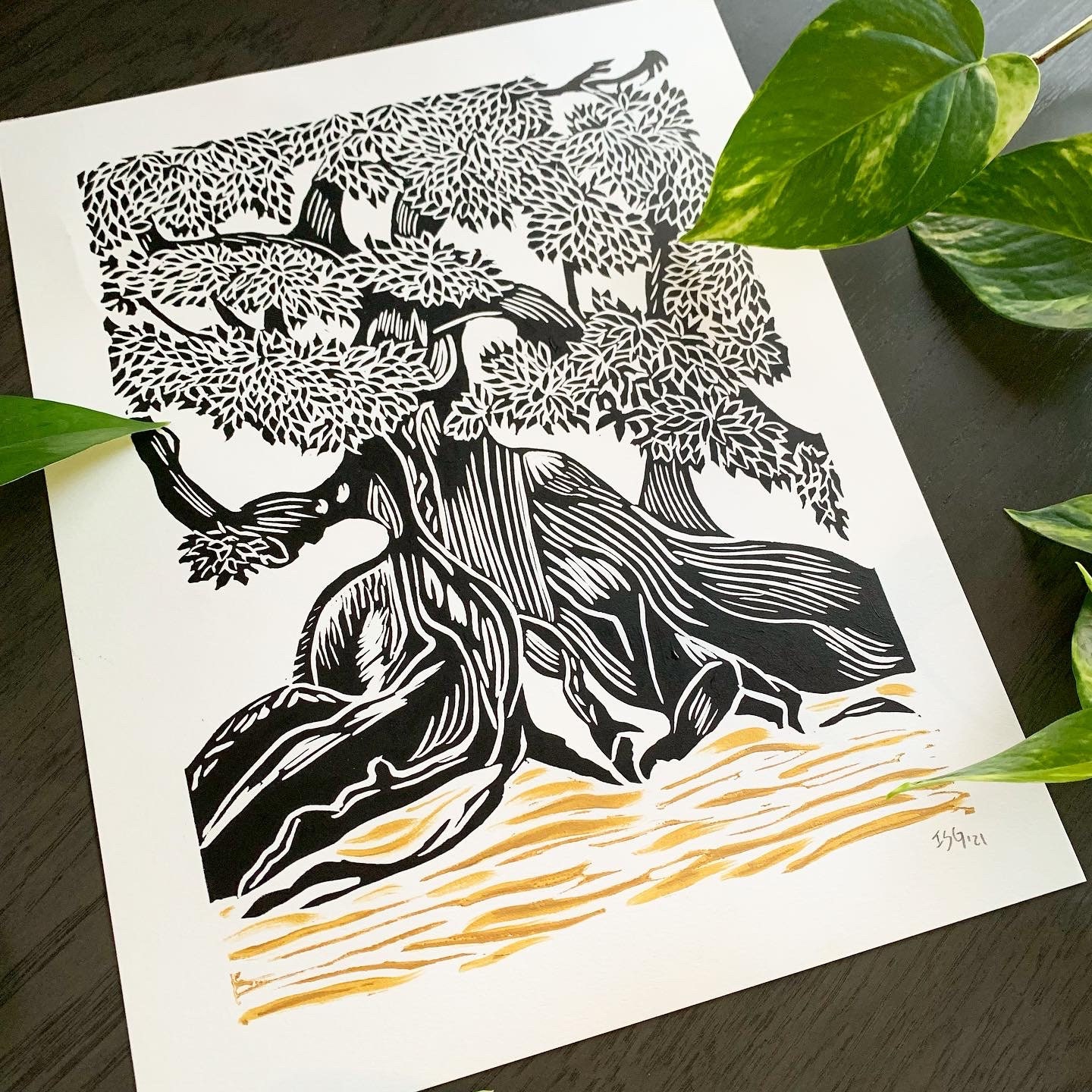 Ceiba Tree - Etsy