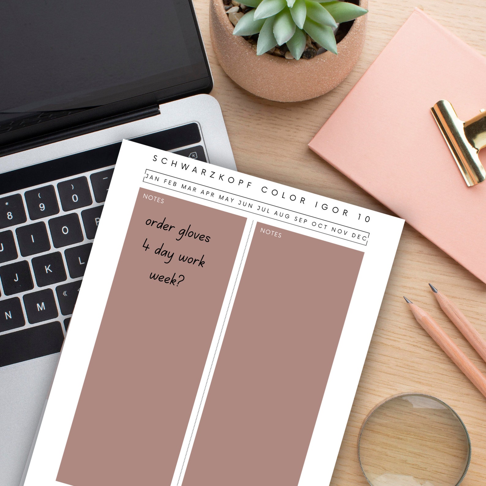 Schwarzkopf Igor Color 10 Permanent Line, Hair Color Inventory ...