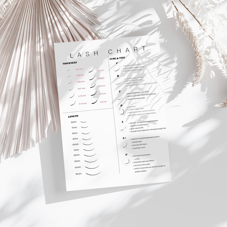 Lash Extension Chart Poster, Eyelash Tech Guide, Salon Decor - Etsy