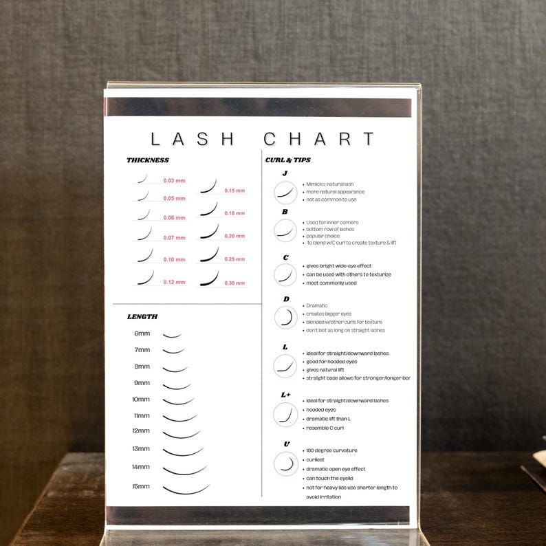Lash Extension Chart Poster, Eyelash Tech Guide, Salon Decor - Etsy