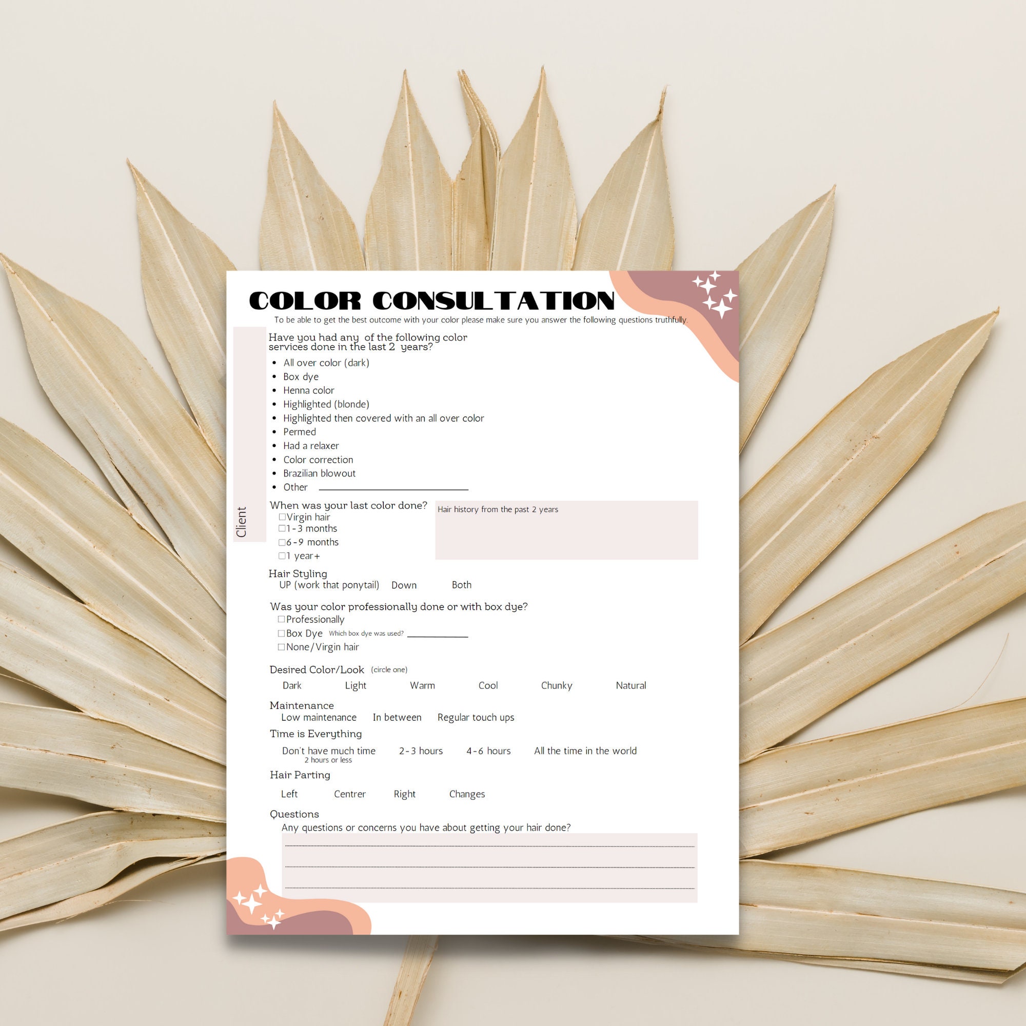 Color Consultation Form for Hairstylists, Salon Forms, Digital Download ...
