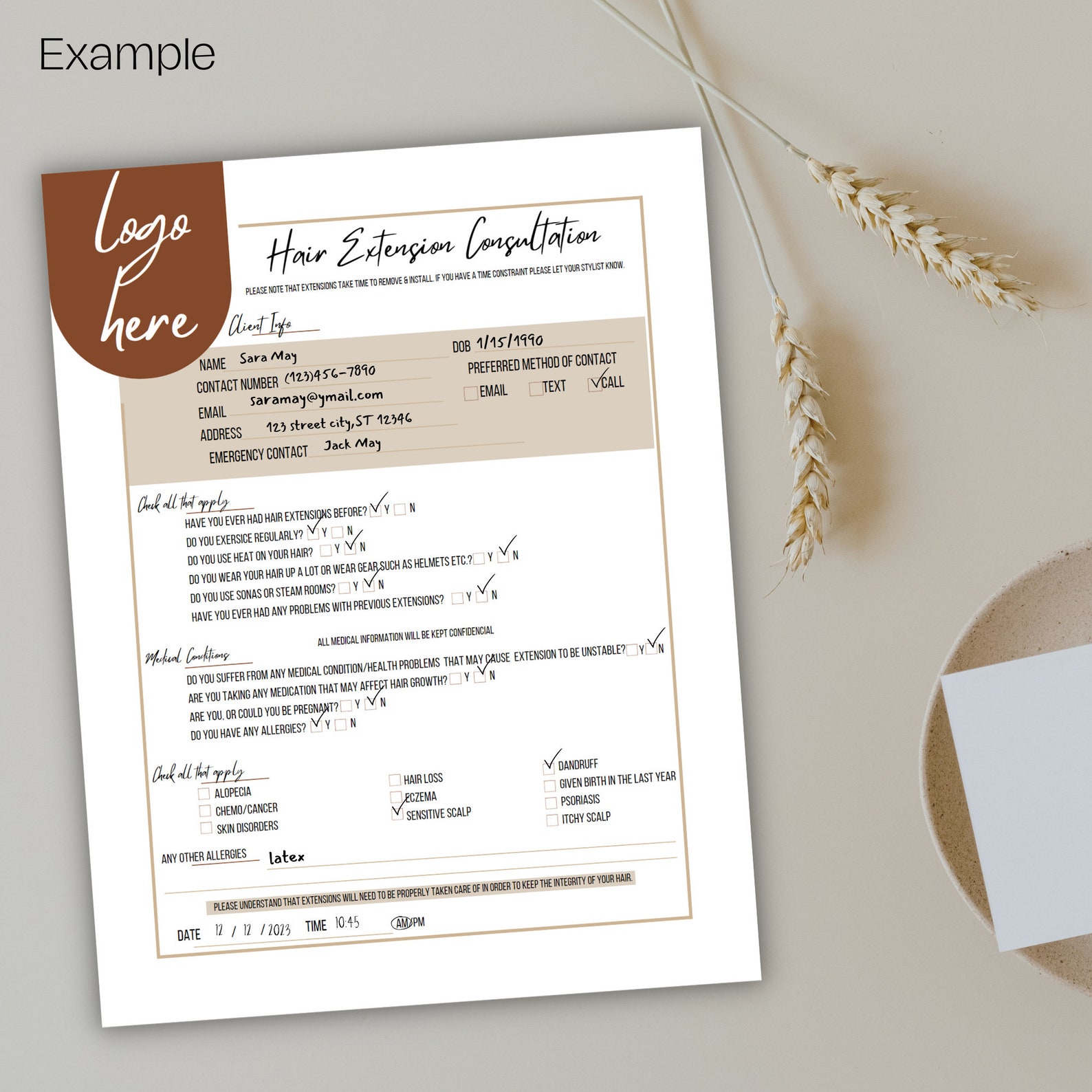 Hair Extension Consultation Form: Salon Client Template (digital ...