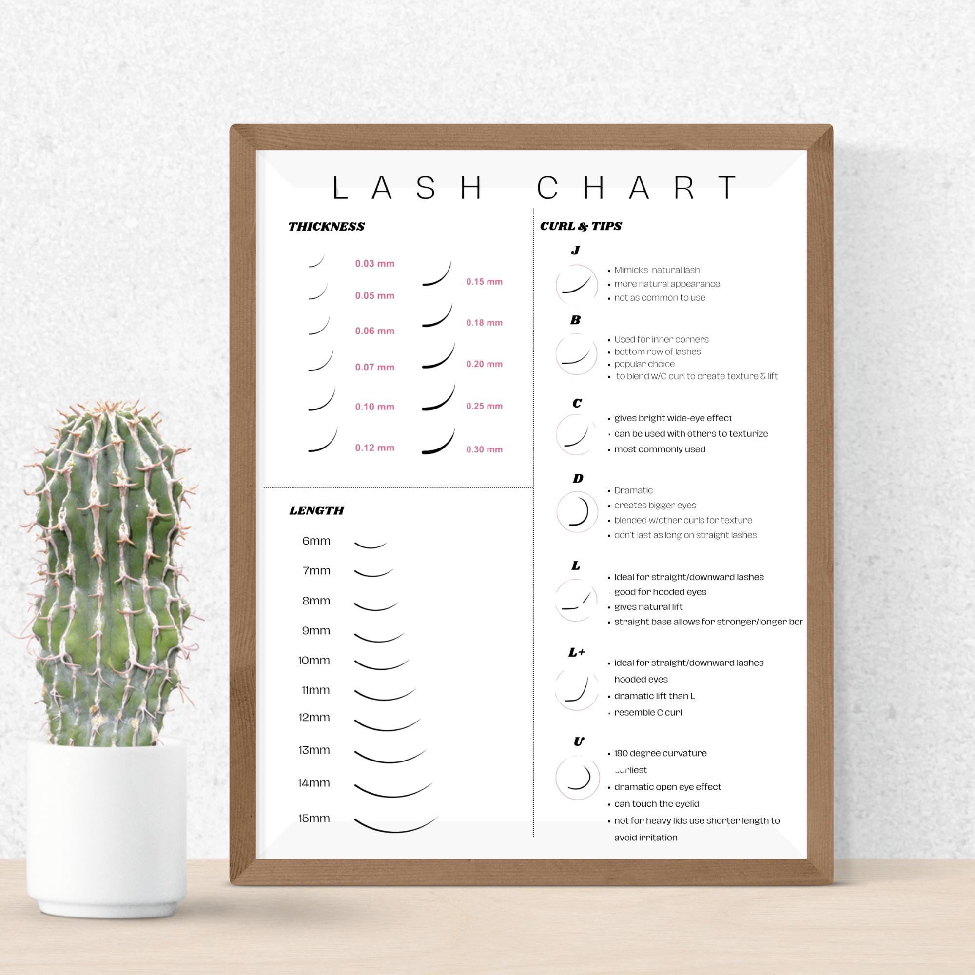 Lash Extension Chart Poster, Eyelash Tech Guide, Salon Decor - Etsy