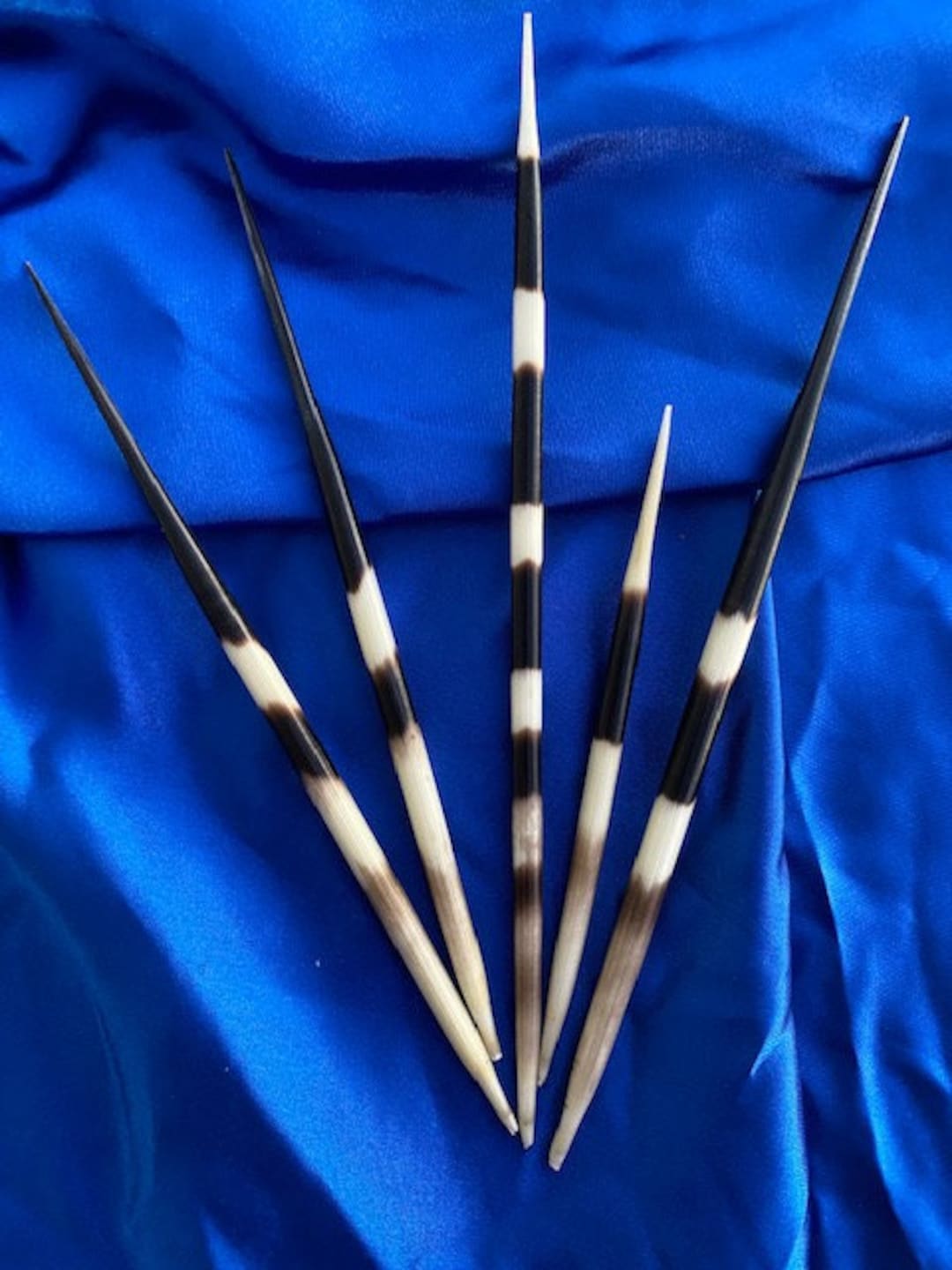 Real African Porcupine Quill Hair Stick Accessory - Etsy