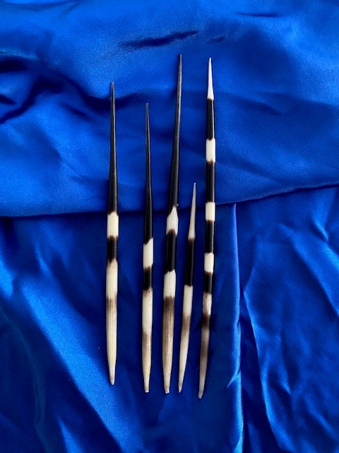 Real African Porcupine Quill Hair Stick Accessory - Etsy