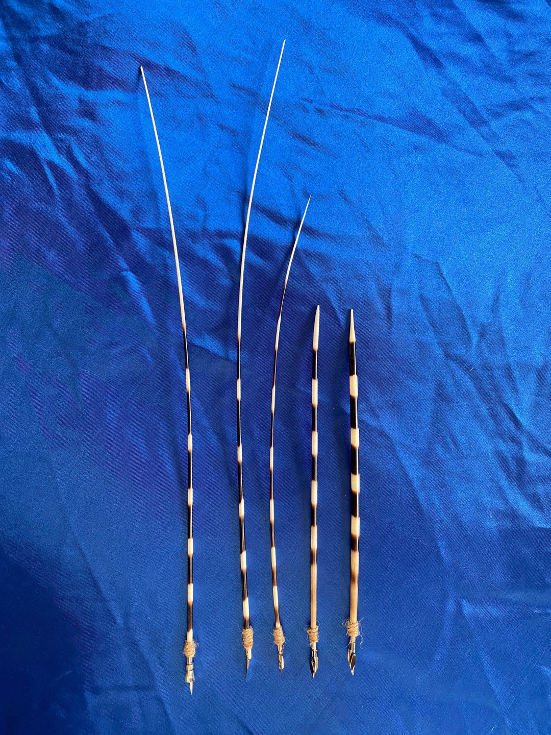 Calligraphy Quill Pen Real African Crested Porcupine Quill - Etsy