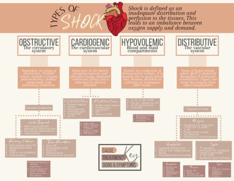 Pathophysiology Types of Shock - Etsy