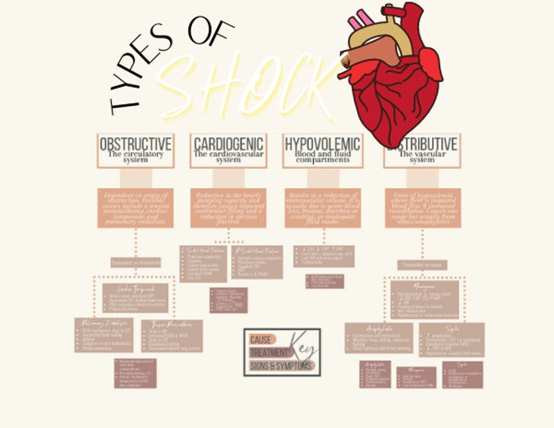 Pathophysiology Types of Shock - Etsy