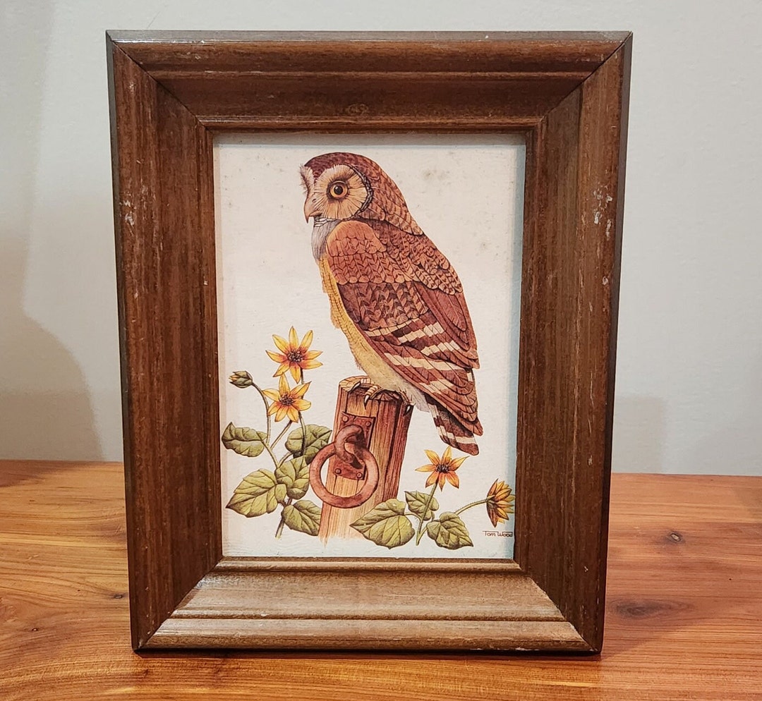 Tom Wood 1979 Jamaican Owl Art I Framed I Vintage Wall Décor - Etsy