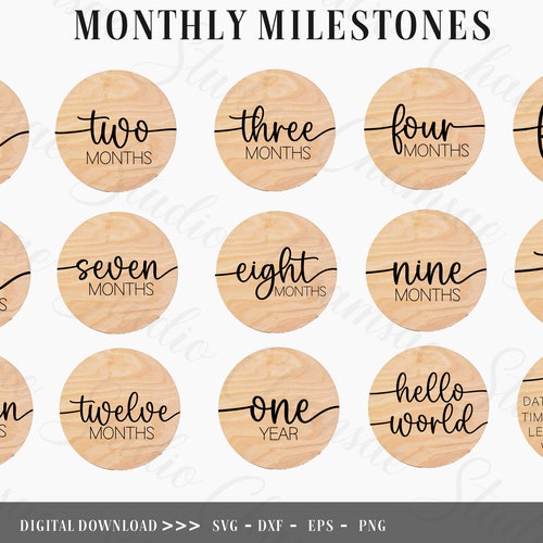 15 Baby Monthly Milestone Svg Bundle Baby Monthly Milestone - Etsy