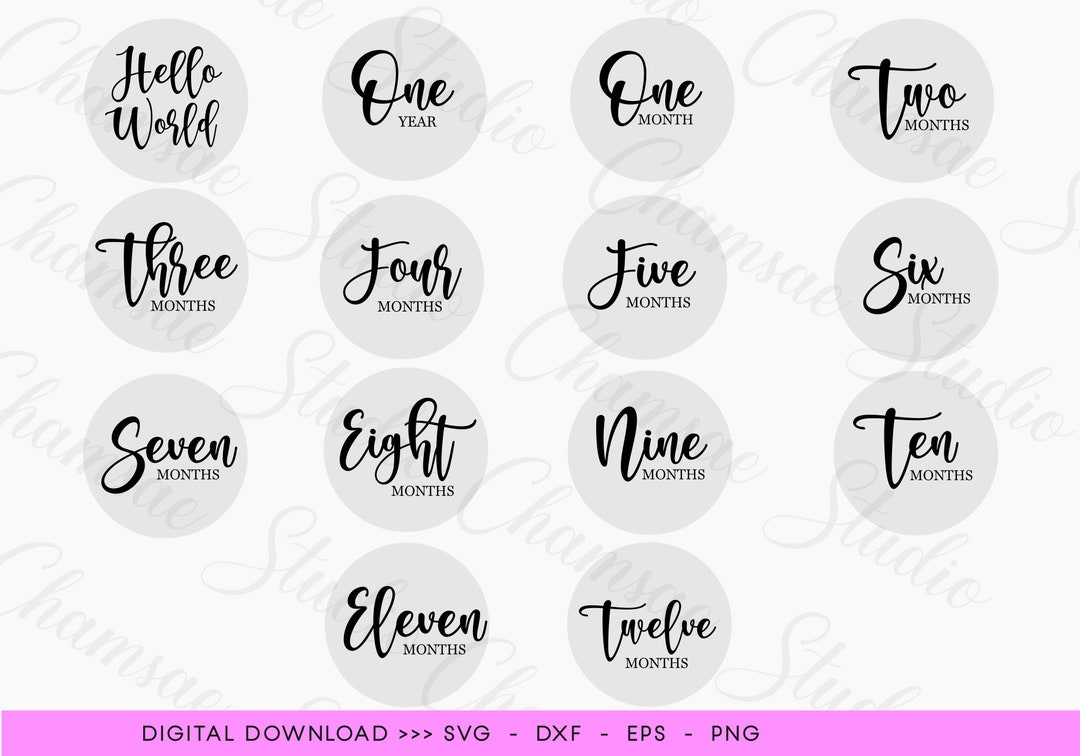 Baby Milestone SVG, Baby Milestone Rounds Svg, Monthly Milestone Svg ...