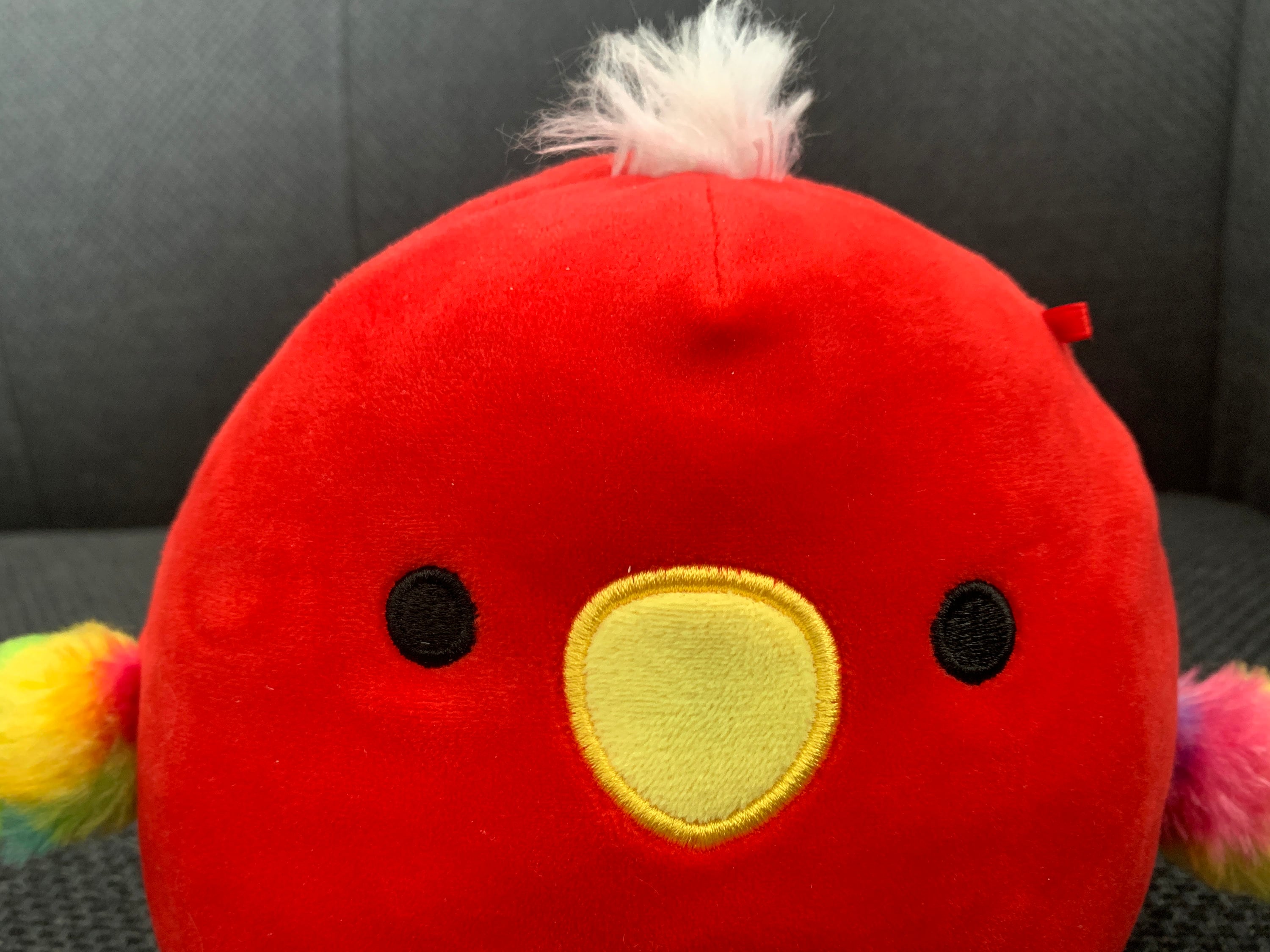 Original Squishmallow Hugmeez Paco the Parrot 6 Plush Toy - Etsy