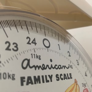 Vintage American Family Scale 11 Kg Dial Kitchen Household Analog Scale ...