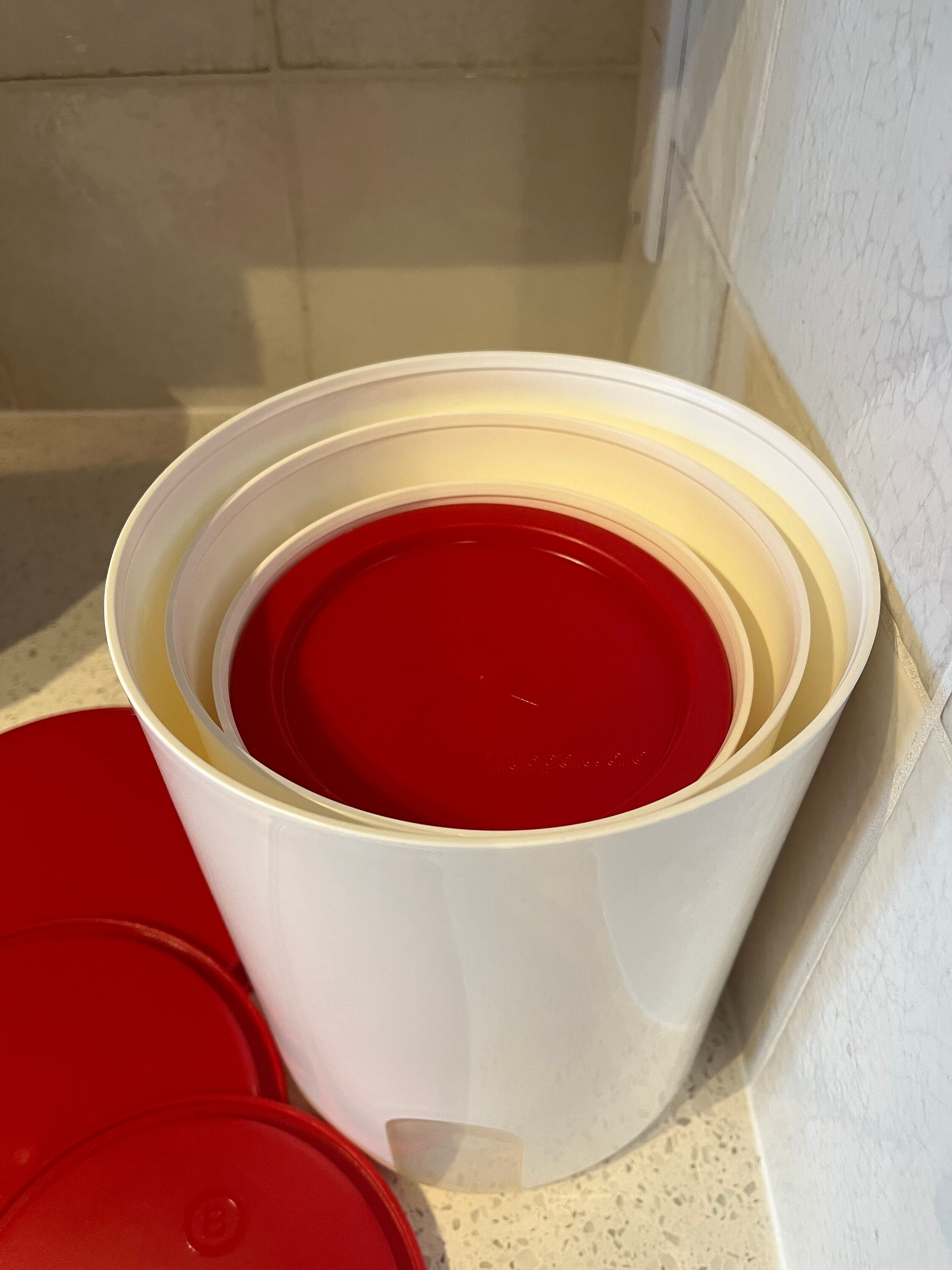 Tupperware One Touch Canister Set of 4 White With Viewing Panels and ...