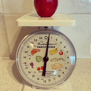 Vintage American Family Scale 11 Kg Dial Kitchen Household Analog Scale ...