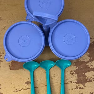 Tupperware Condiments Set - 3 Containers, 3 Lids, 3 Spoons and Carrier ...