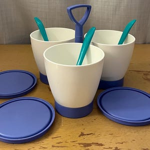 Tupperware Condiments Set - 3 Containers, 3 Lids, 3 Spoons and Carrier ...