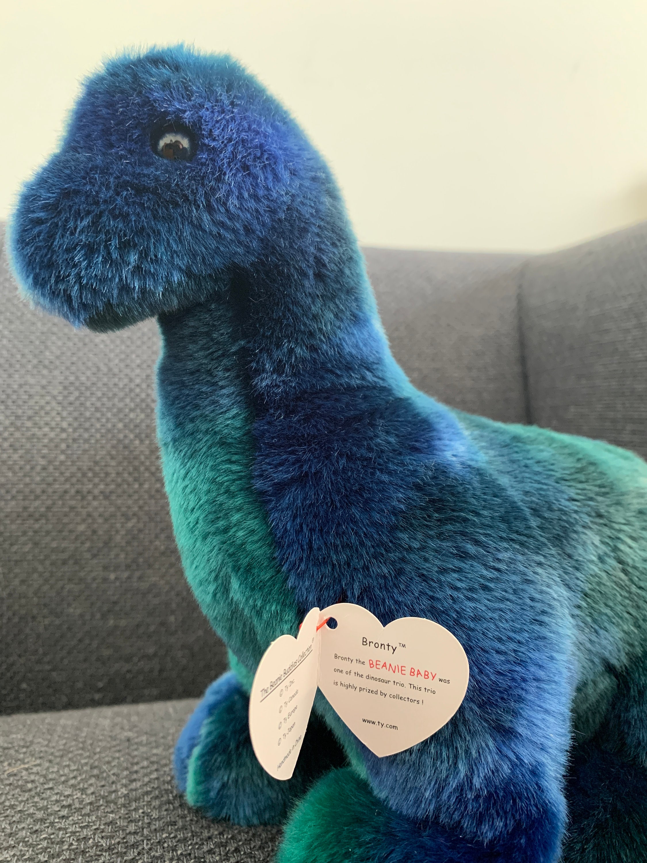 TY Original Beanie Buddies to Choose From: Duck, Turtle, Dachund ...