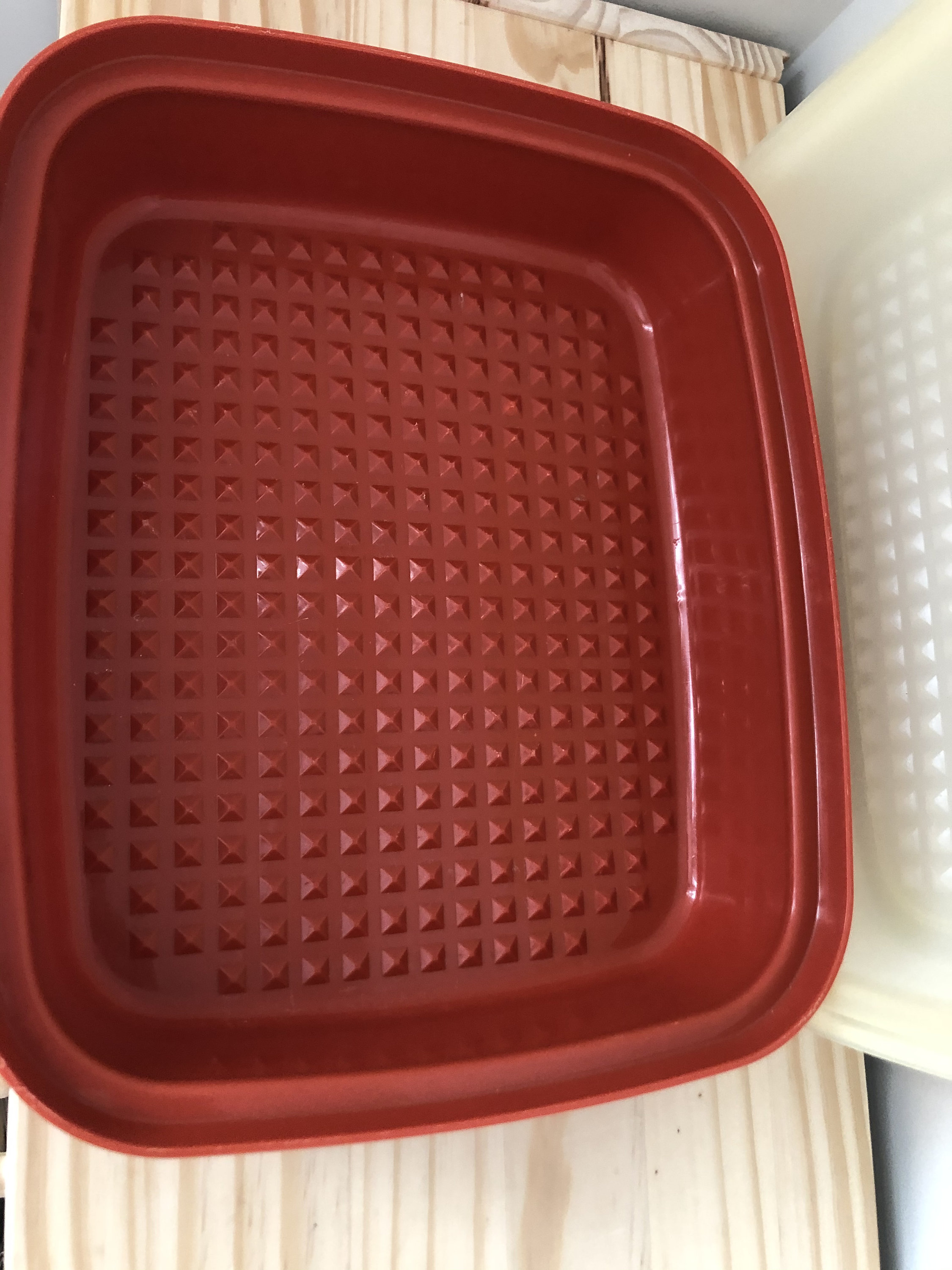 Vintage Paprika Red Tupperware Meat Marinade Container 1294 Season N ...