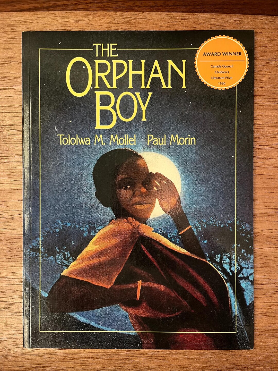 Vintage 1990 the Orphan Boy Soft Cover Children's Book by Tololwa M ...