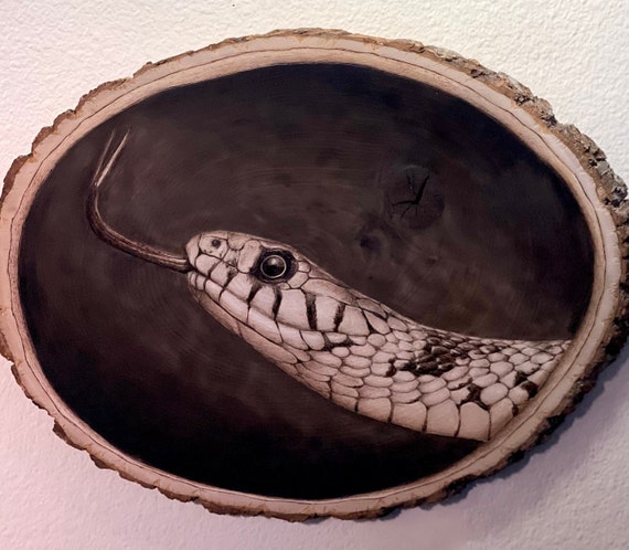 Wood Burned Snake on Live Edge Pyrography Wall Hanging - Etsy