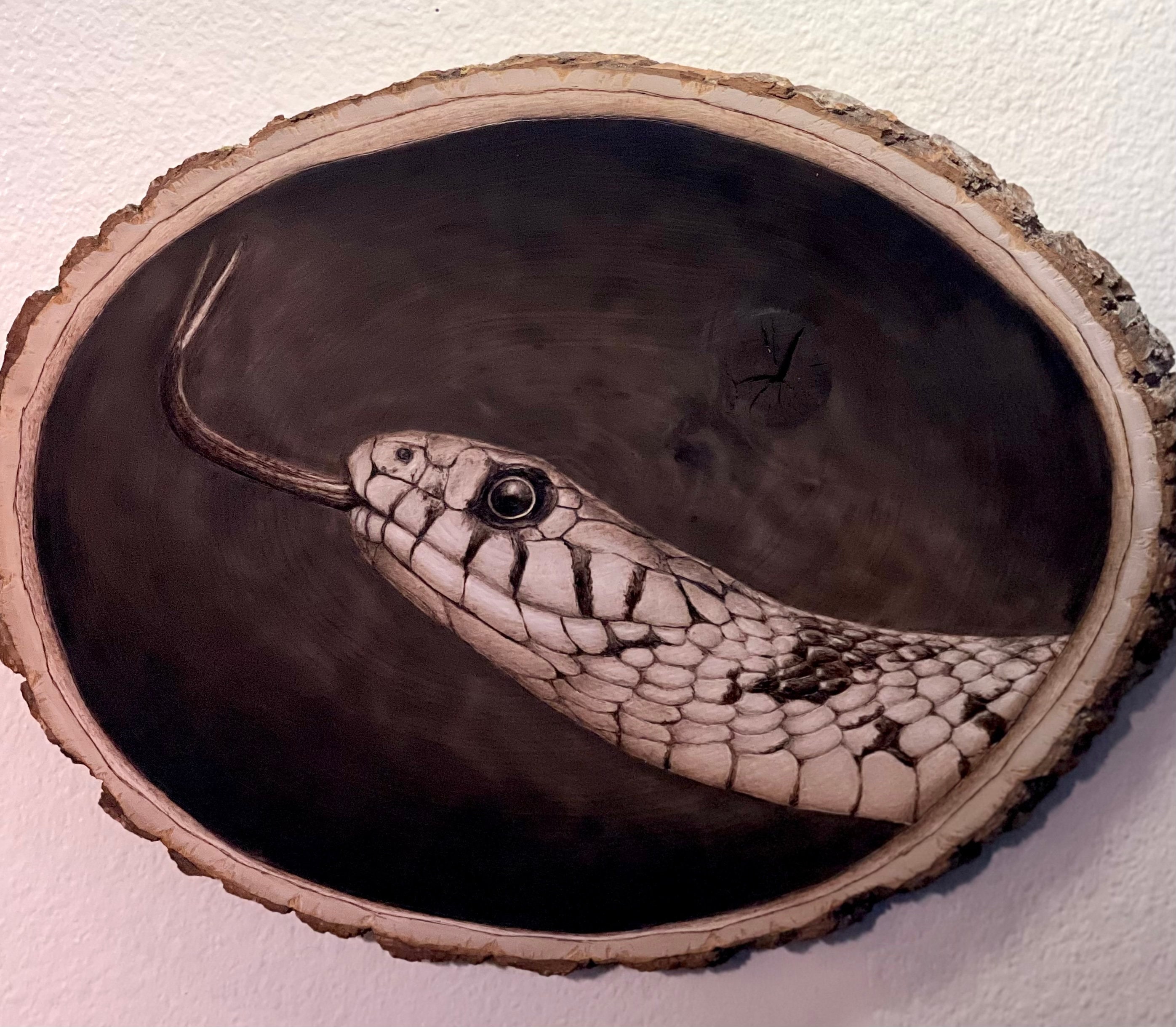 Wood Burned Snake on Live Edge Pyrography Wall Hanging - Etsy
