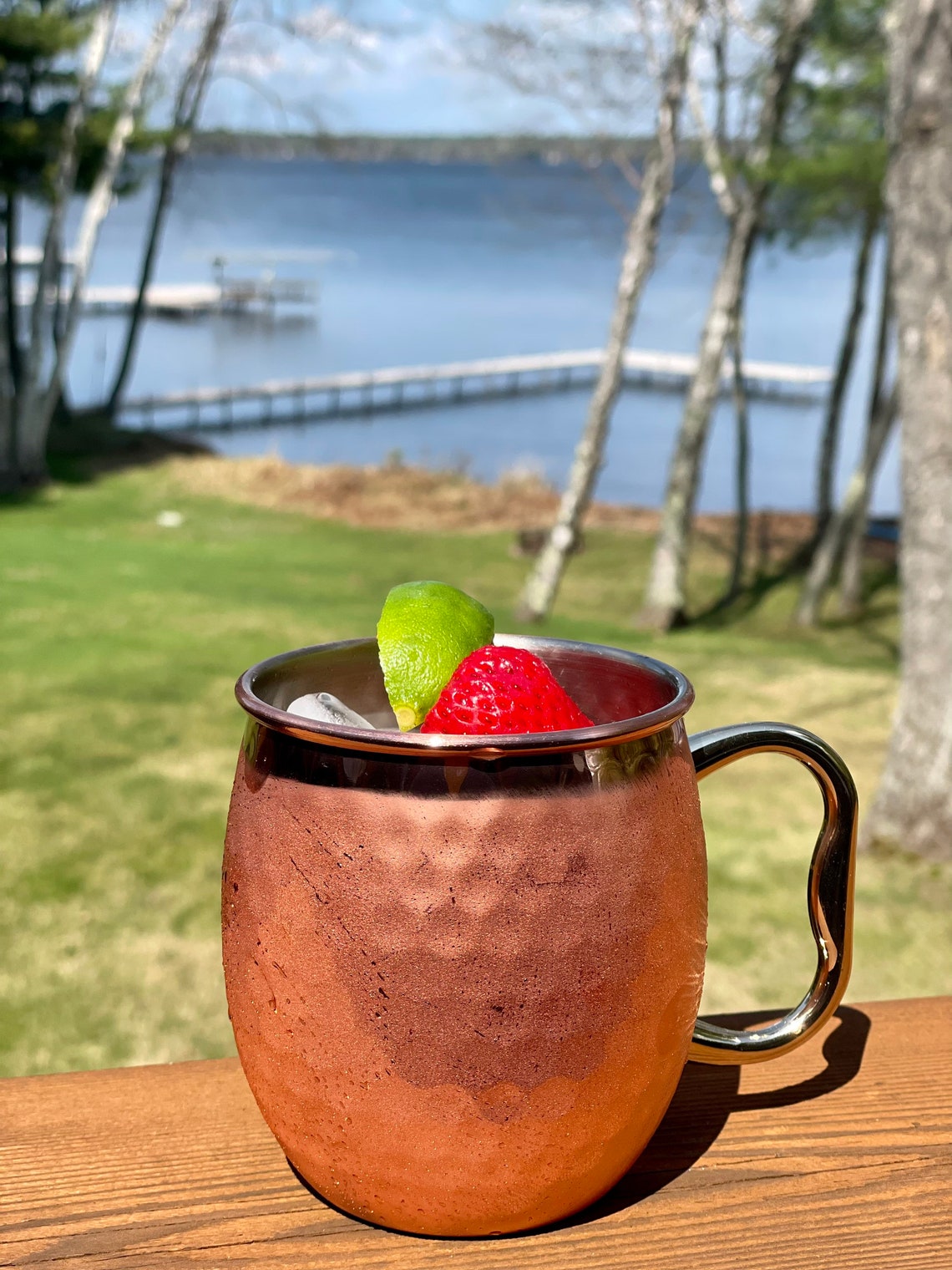 Trifecta Craft Cocktail Infusion Kit Organic & Locally - Etsy Canada